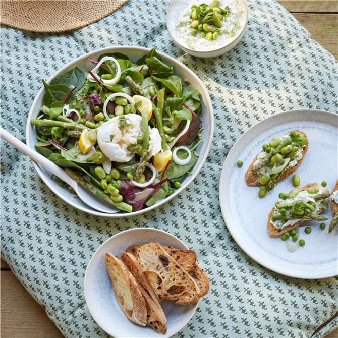 Kiln Green Medium Plate 8.5inch / 21.5cm