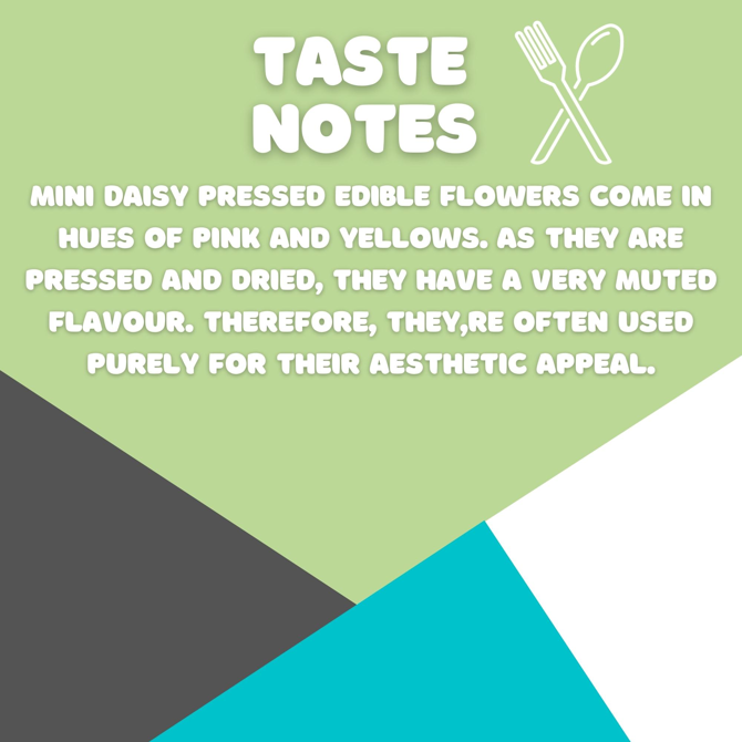 Pressed Mini Daisy Flowers, Count: 15