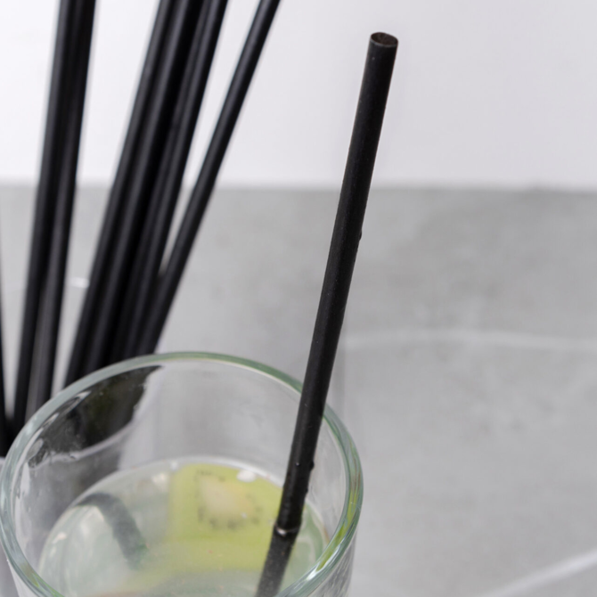 Agave Black Straw 8.25inch / 21cm