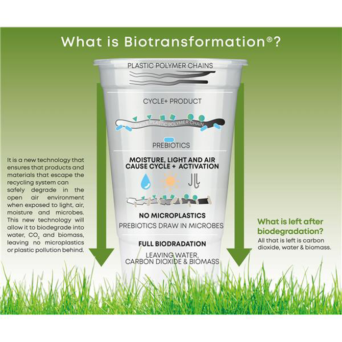 TwoInOne Flexy Glass, UKCA & CE Marked 1 Pint to Brim - eGreen Print 568ml