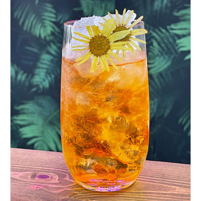 Pressed Mini Daisy Flowers, Count: 15